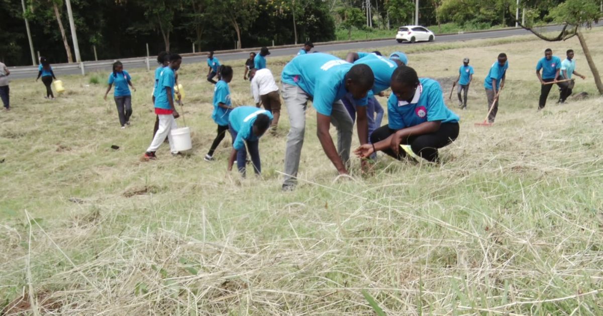 Environmentalists kick off programme to green thika superhighway