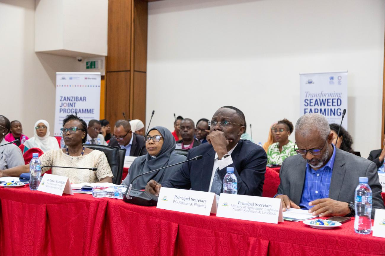 Zanzibar’s new UN programme to target poverty, inequality, and climate ...