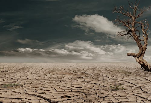 Philanthropy Steps Up: Climate adaptation funding hits record $870 ...