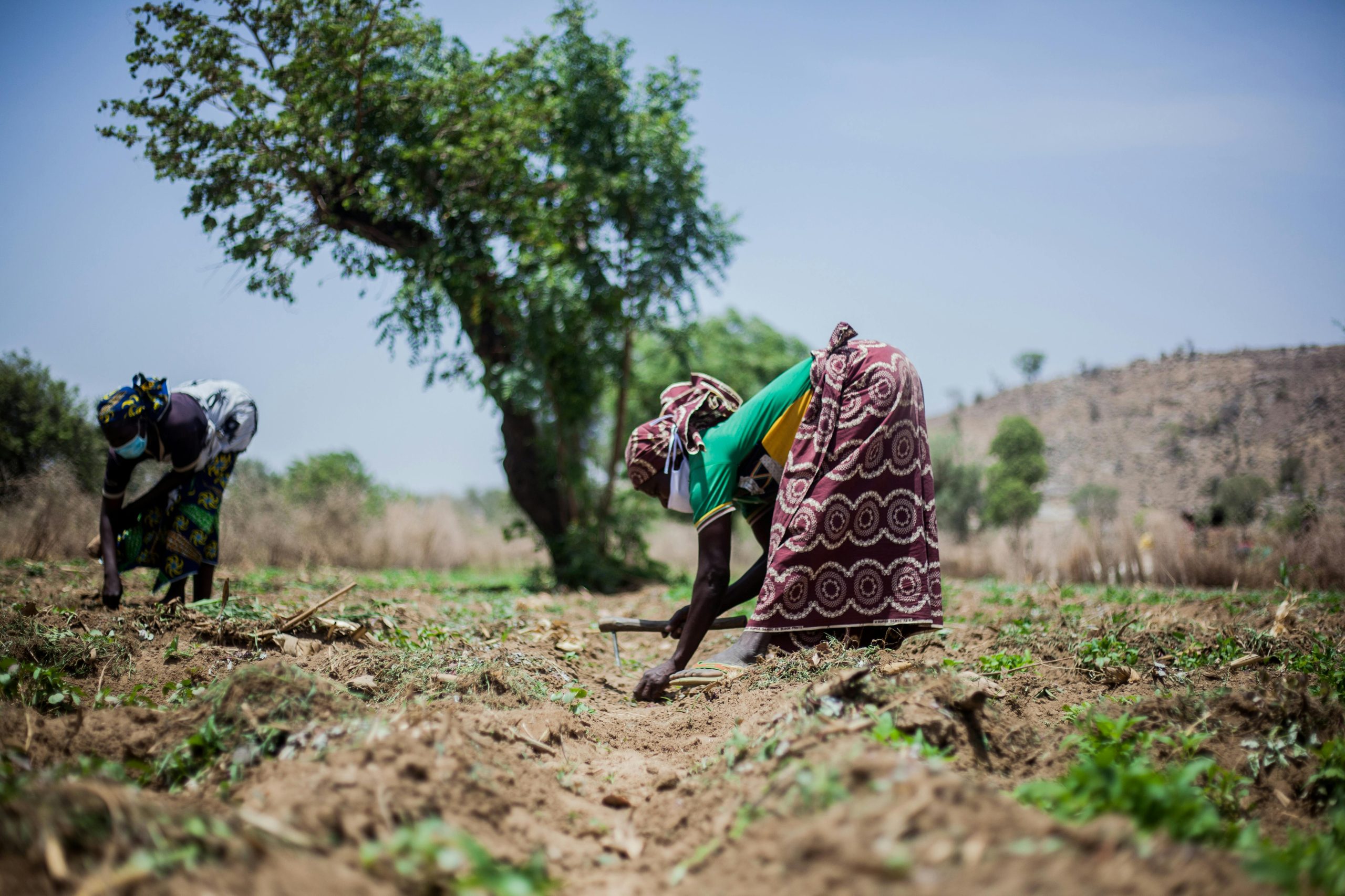 New investments set to support farmers and food businesses in Kenya and ...